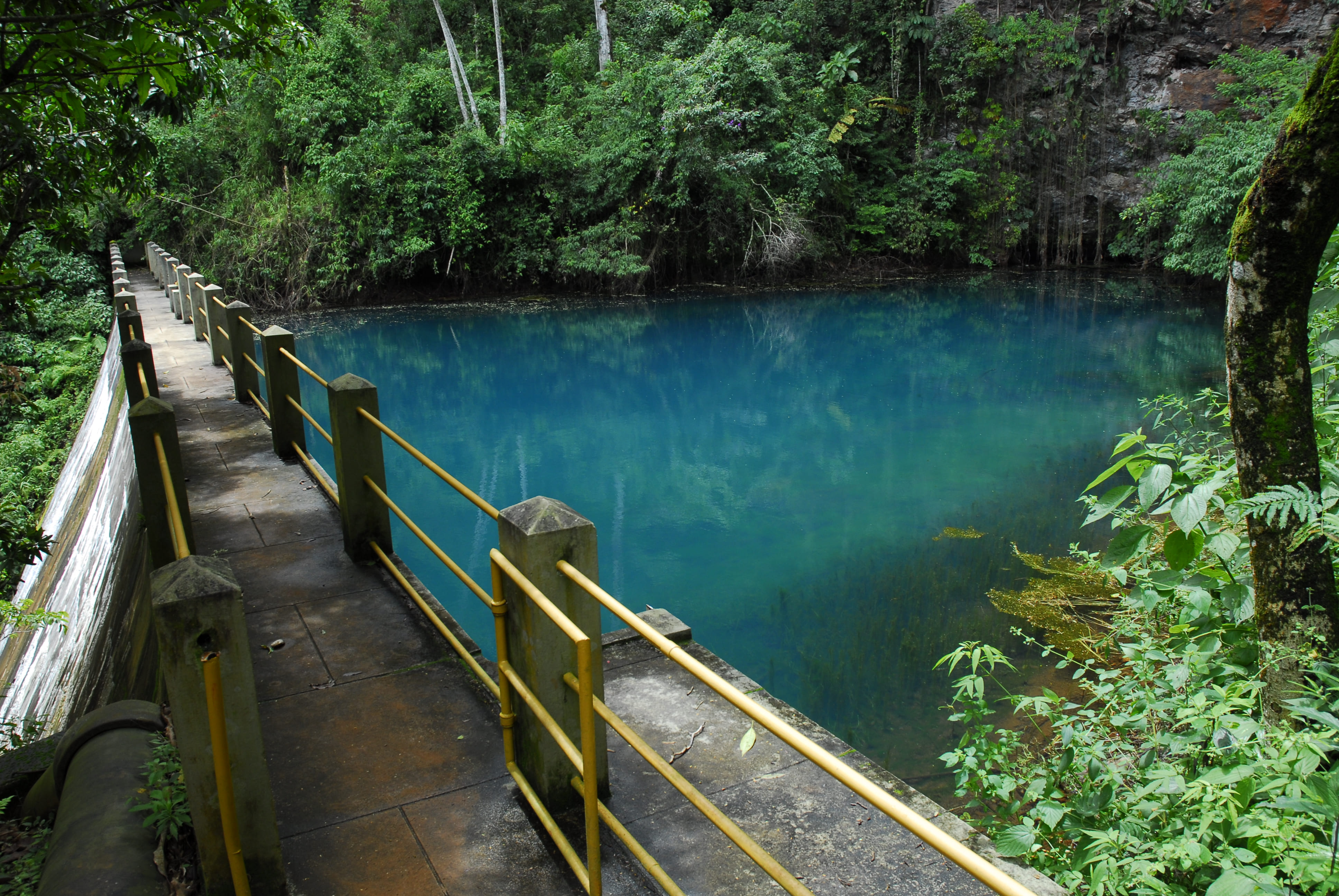 Agência Minas Gerais | Parque Estadual da Serra do Rola-Moça se ...